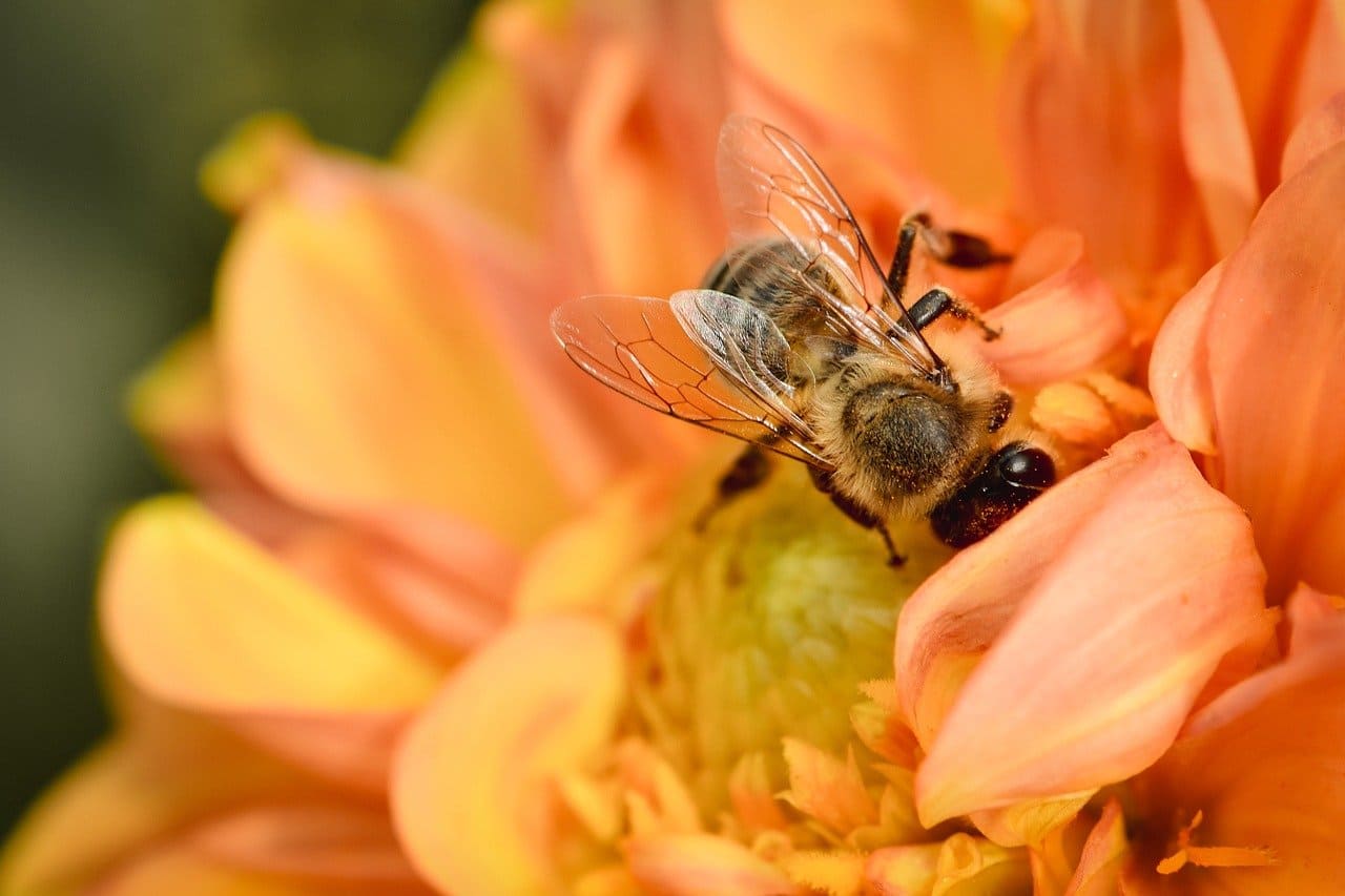 Бесплатный фотохостинг картинок - загрузить картинку и поделиться